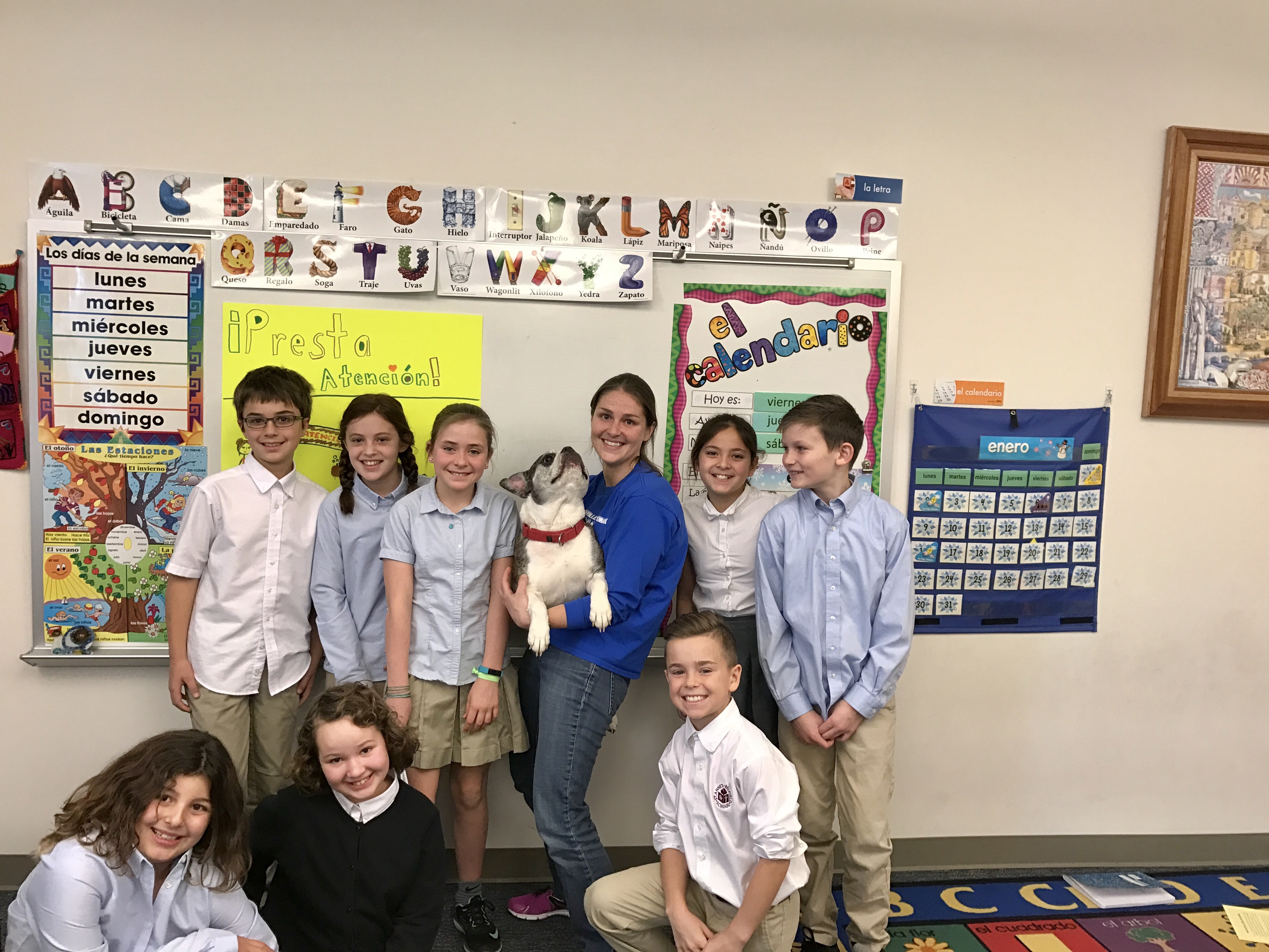 Helping Animals in our Community! - Share Your Project - Projects - TakingITGlobal for Educators